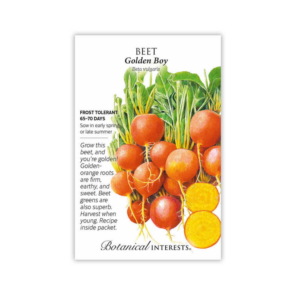Beet Golden Boy – Pittsboro Feed