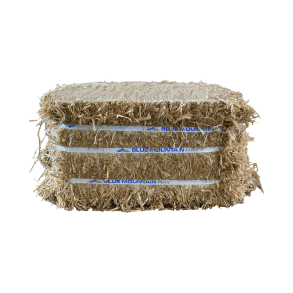Blue Mountain Hay Straw Compressed Bale – Pittsboro Feed
