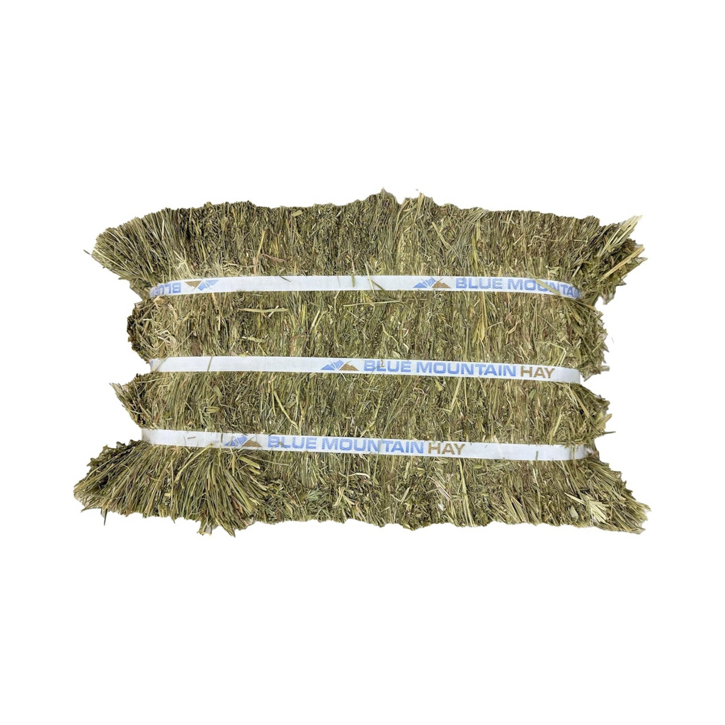 Blue Mountain Hay Timothy Compressed Hay Bale – Pittsboro Feed