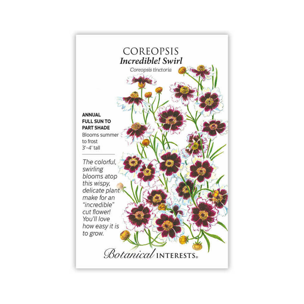 Coreopsis Incredible! Swirl – Pittsboro Feed