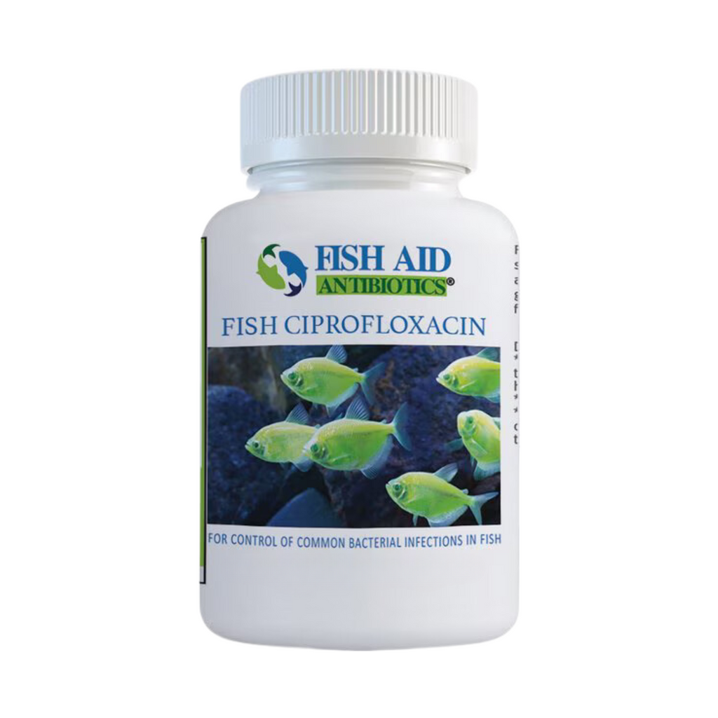 Fish Cipro - Ciprofloxacin – Pittsboro Feed
