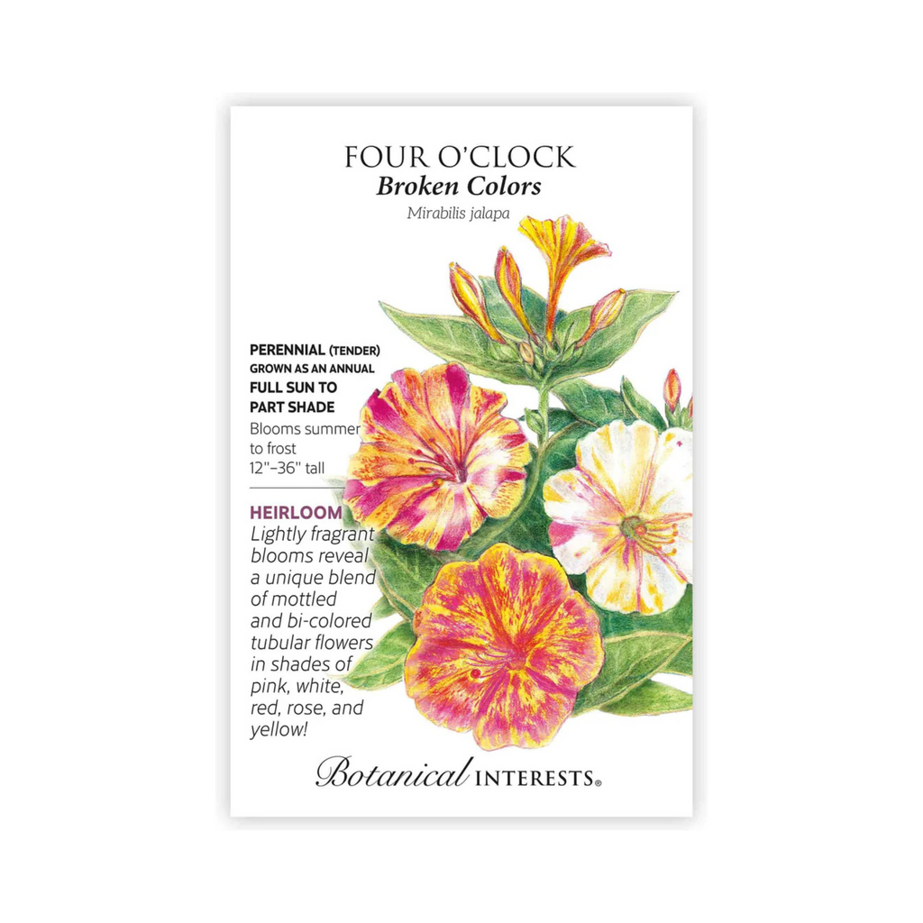 Broken Colors Four o'Clock – Pittsboro Feed