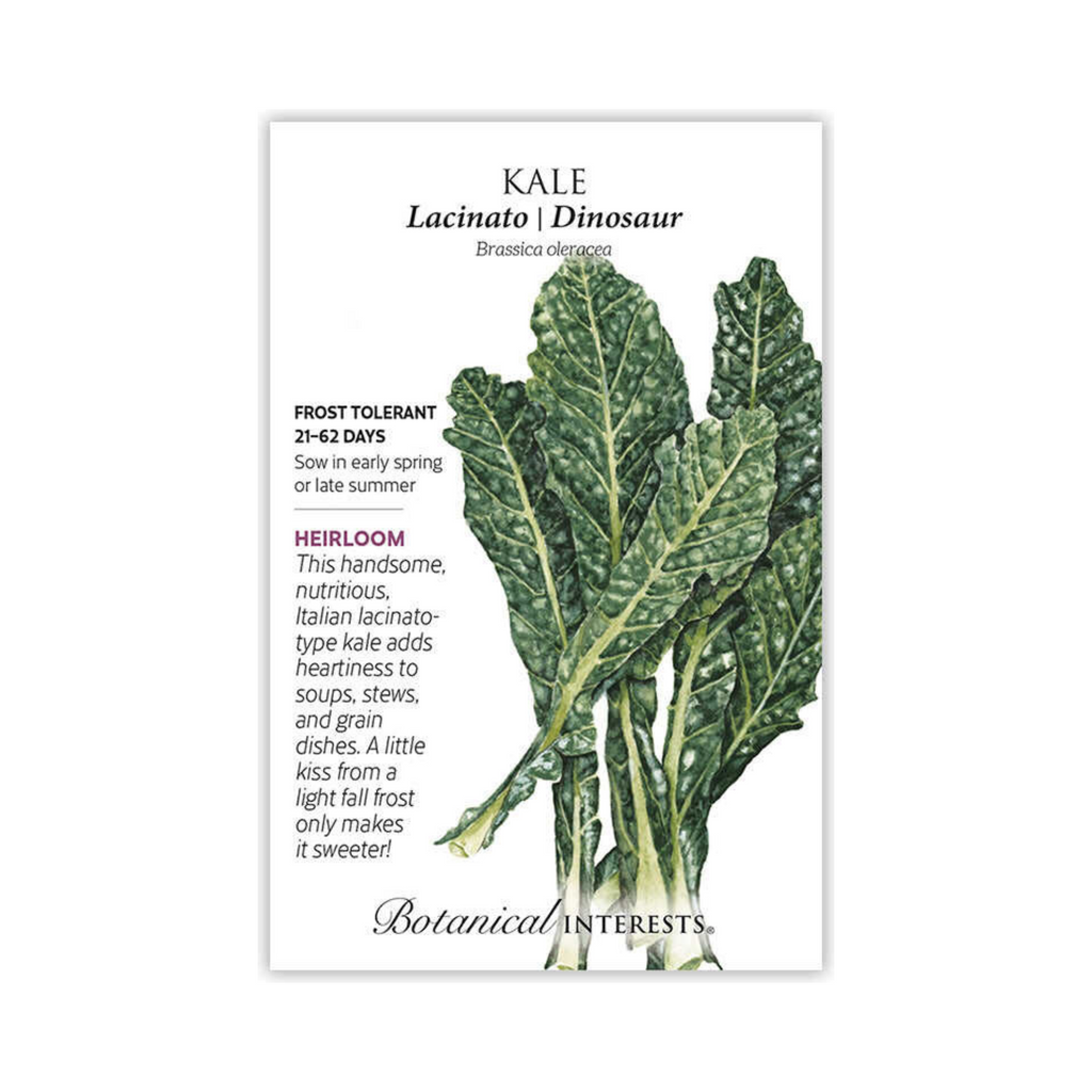 Kale Lacinato Dinosaur – Pittsboro Feed