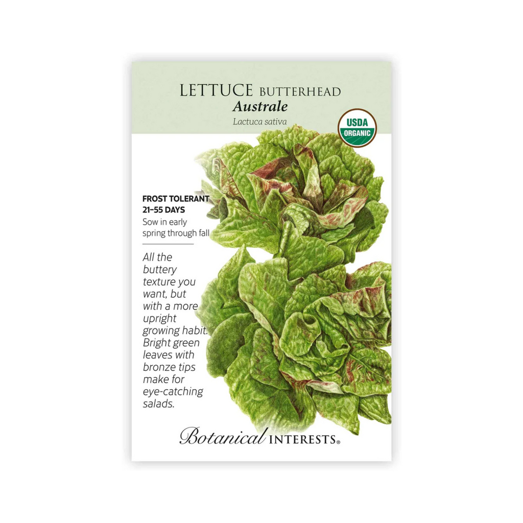 Lettuce Butterhead Australe – Pittsboro Feed