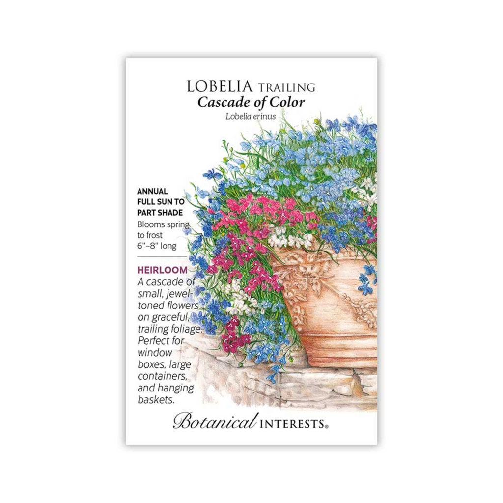 Lobelia Trailing Cascade of Color – Pittsboro Feed