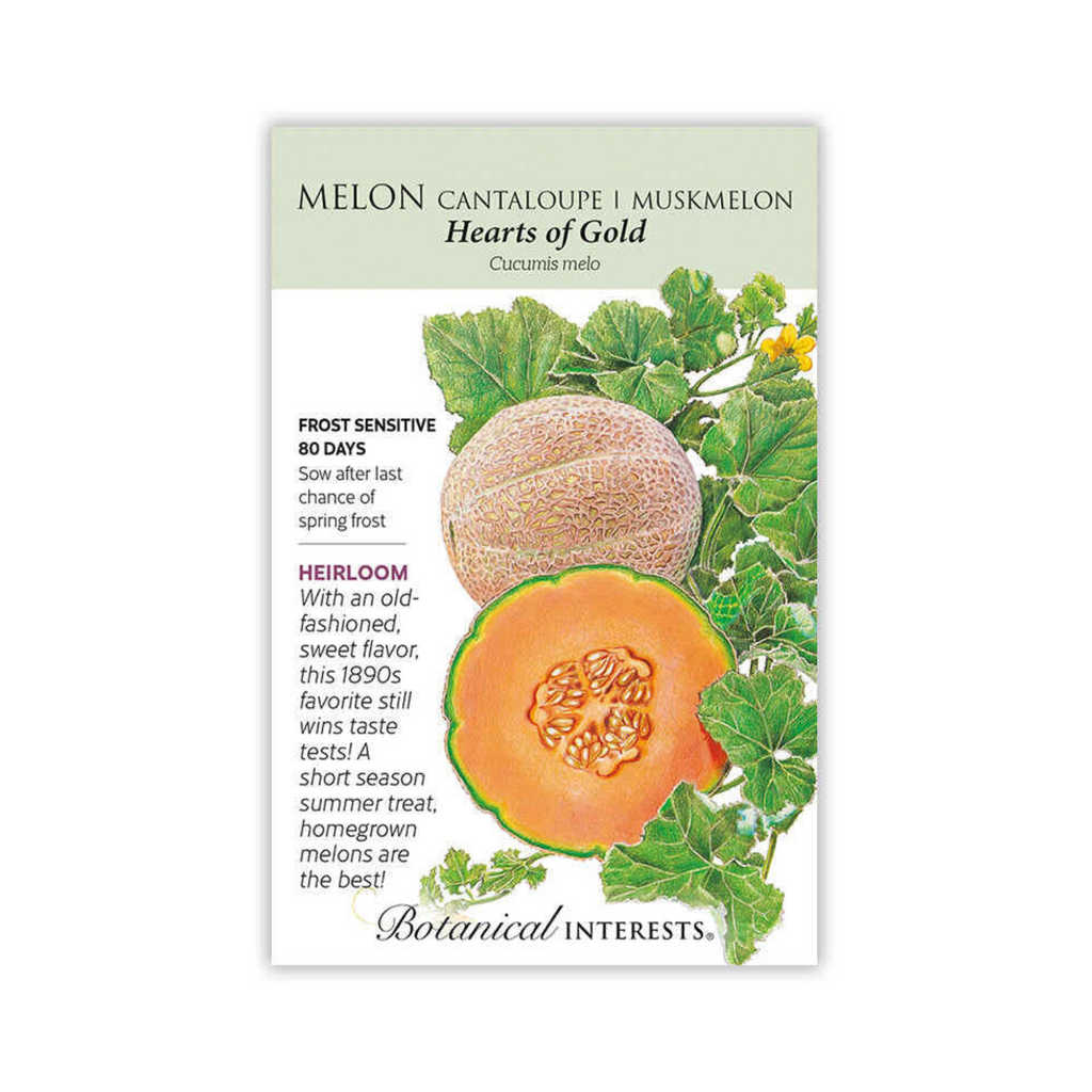 Melon Cantaloupe Muskmelon Heart of Gold – Pittsboro Feed