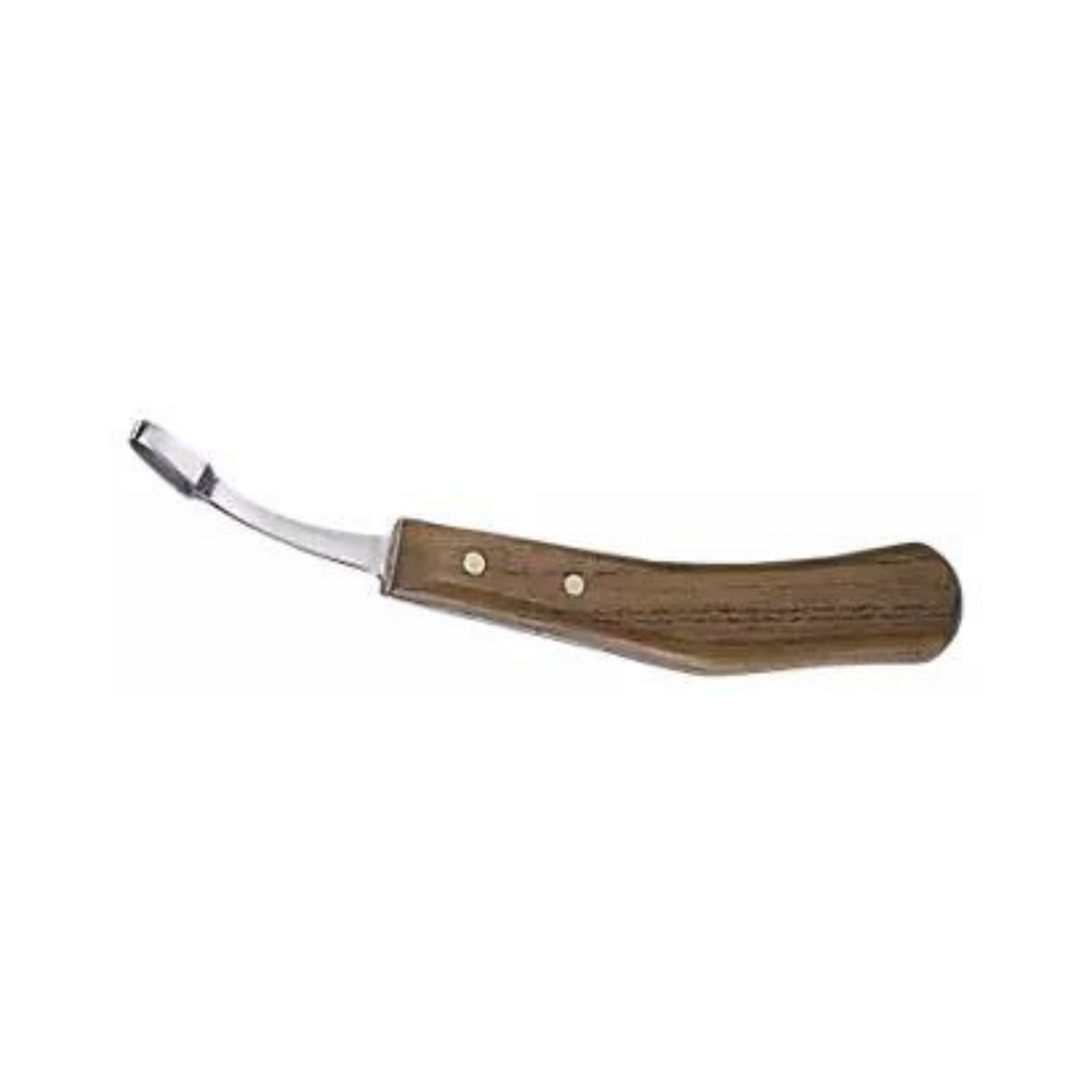 Professional Abscess Loop Knife – Pittsboro Feed