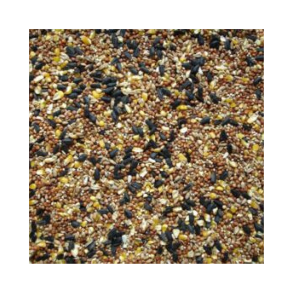 Wild Bird Blend Bird Seed – Pittsboro Feed