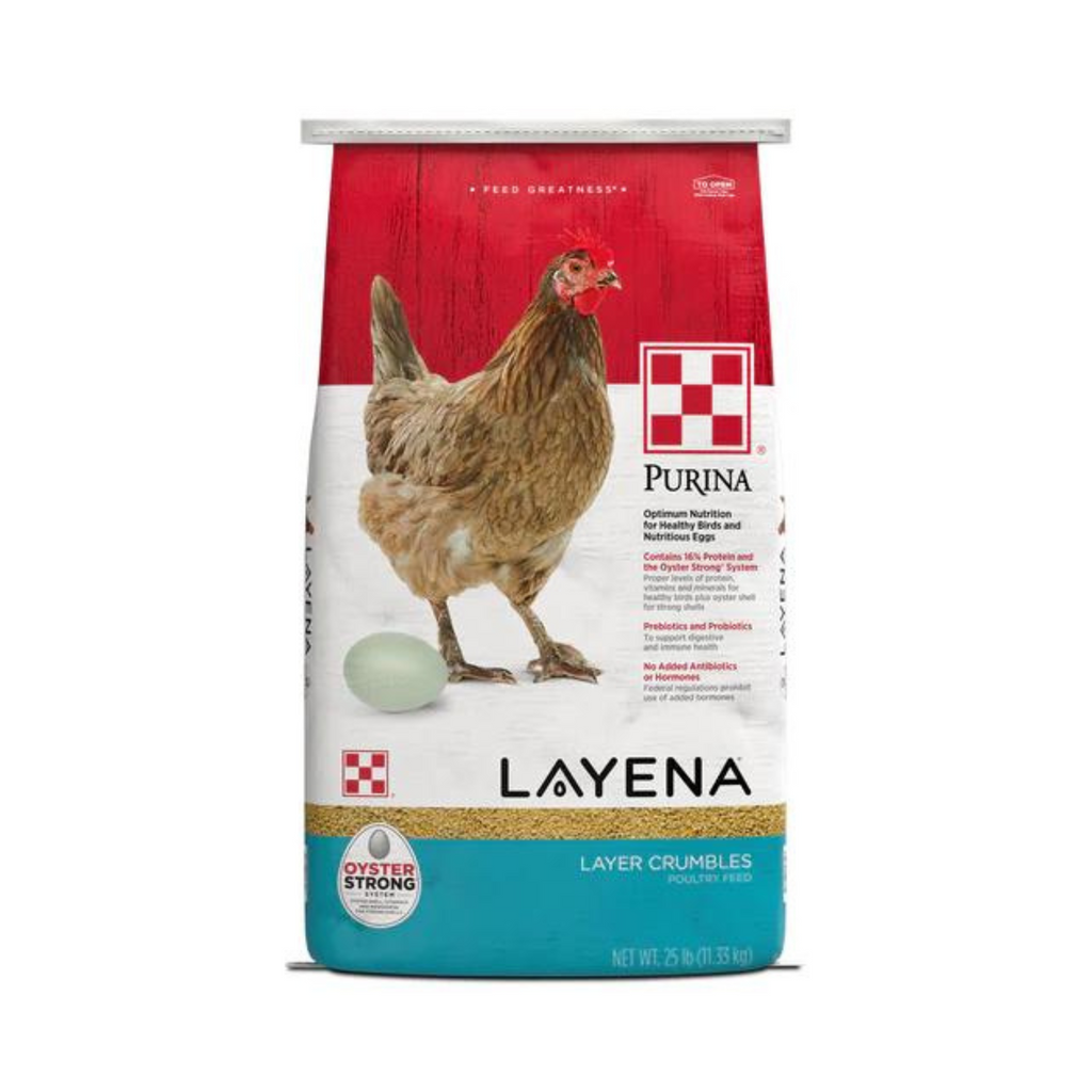 Purina Layena Crumbles Chicken Feed – Pittsboro Feed
